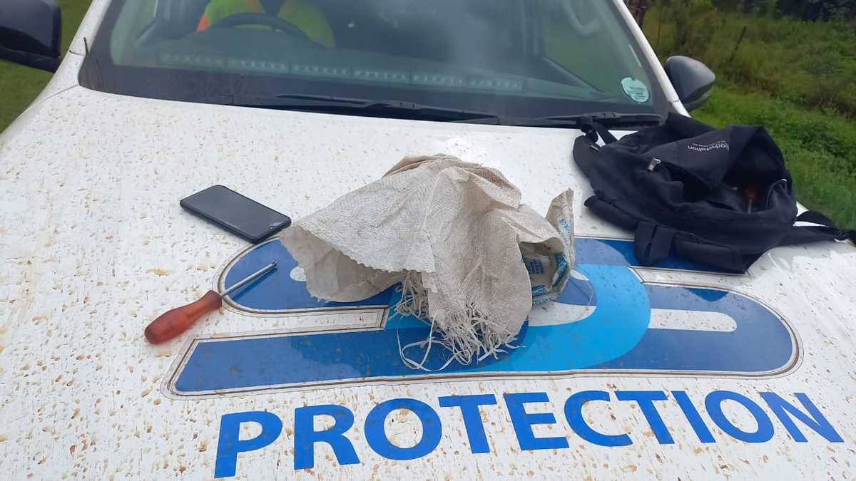 Collaboration between SAPS and Private Security leads to wanted suspect ...